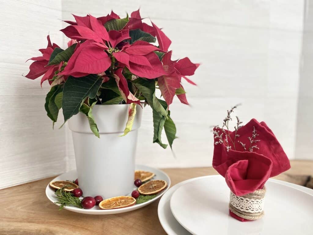 Beautiful holiday table decor with natural materials